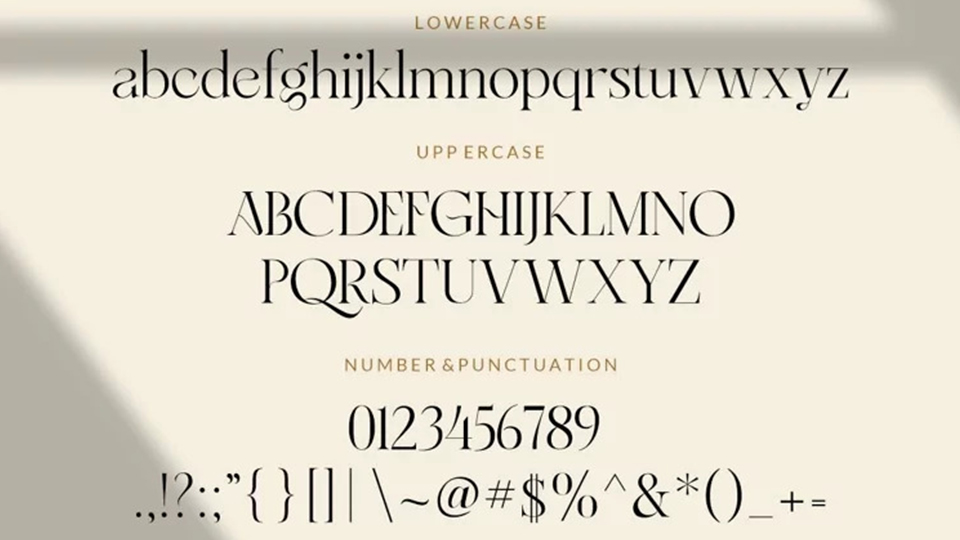 Soligant - Display Serif Font - Graphic For Free